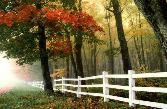 Rural Living: Five Different DIY Home Fixes to Know | Home Building and ...